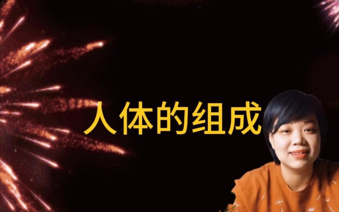 人体的组成,细胞和细胞间质构成组织,器官和系统,人体解剖学