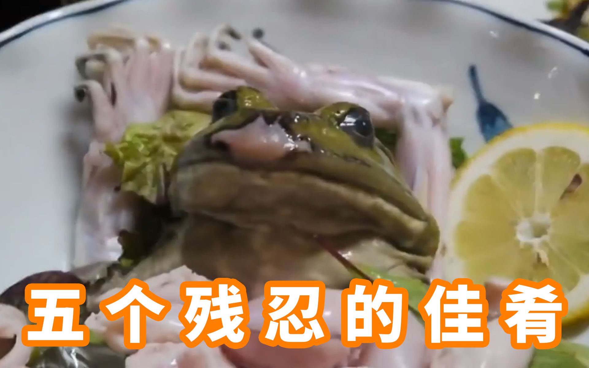 活吃猴脑?盘点那些震碎三观残忍的食物
