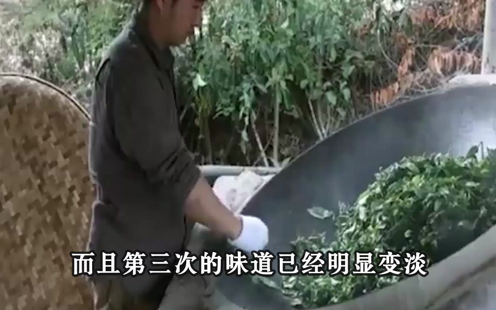 普洱的功效和作用?普洱茶怎么泡更好喝?生普和熟普有什么区别?