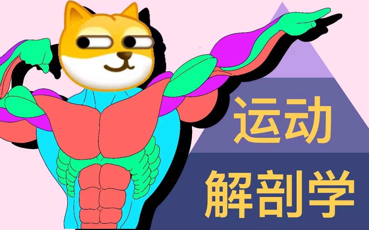 【运动解剖学入门01】运动平面与基本动作