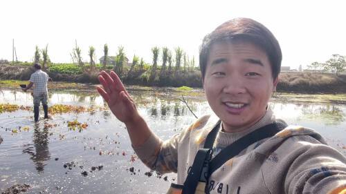 为什么小龙虾苗冬天喜欢"黑水",天冷管理要到位