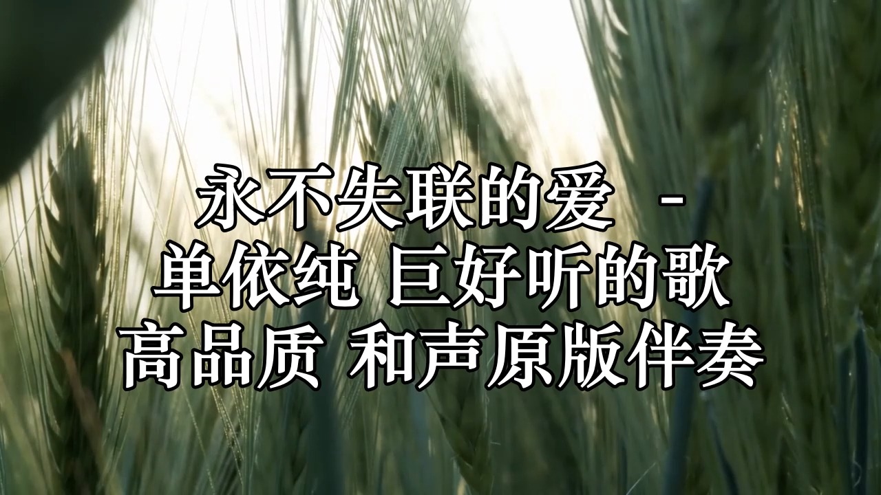 永不失联的爱 (Live) - 单依纯 巨好听的歌 高品质 和声原版伴奏