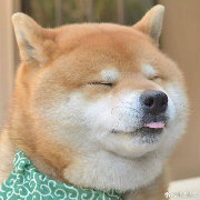 小绝录播组 