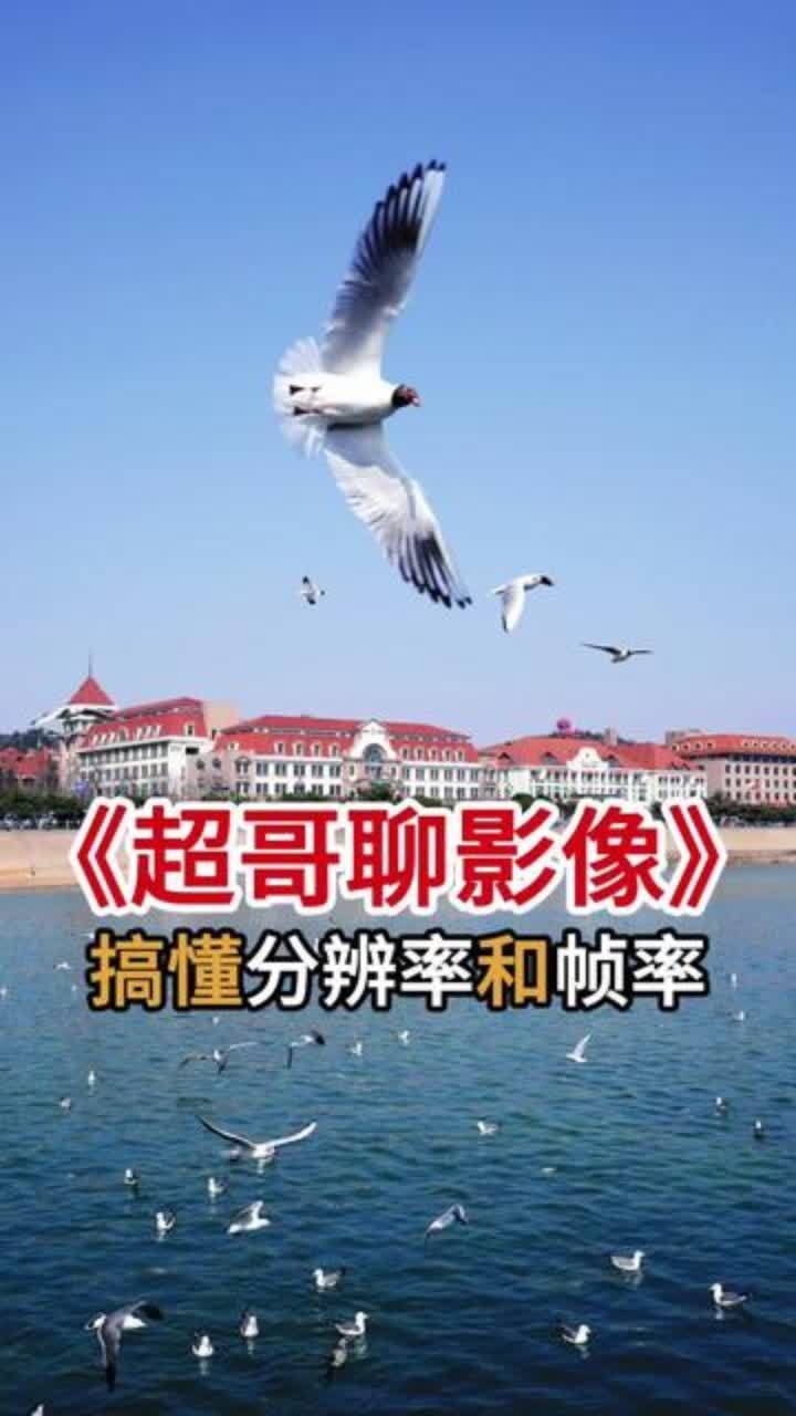 分辨率、帧率、升格视频傻傻分不清?一条视频一次性教会您~ #金色...