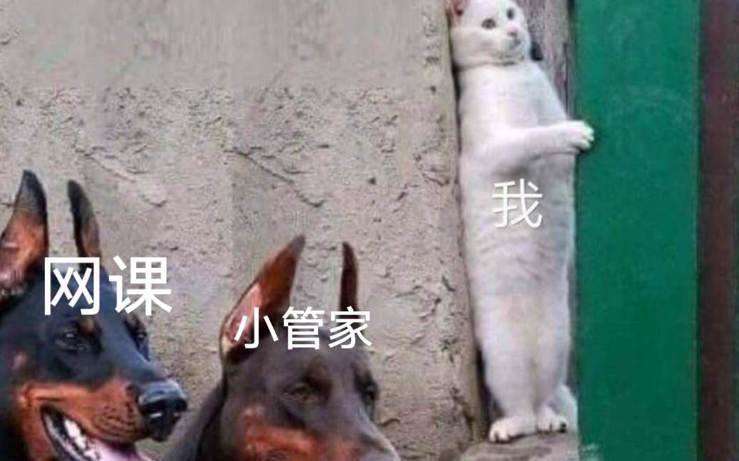 被网课和班级小管家压制的我魔化了!?