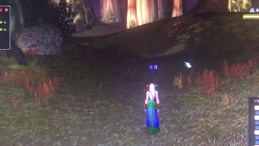 怀旧服德鲁伊。变熊形态的任务。身心之力位置