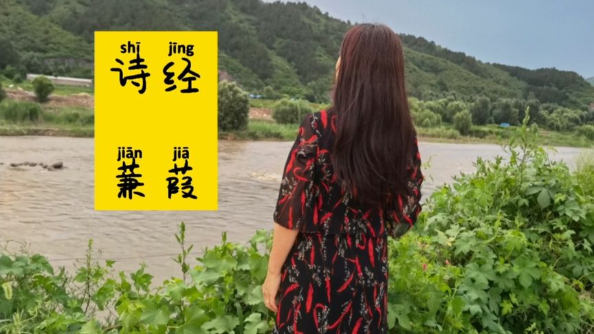 弘扬传统文化,蒹葭也是中考必考古诗词!