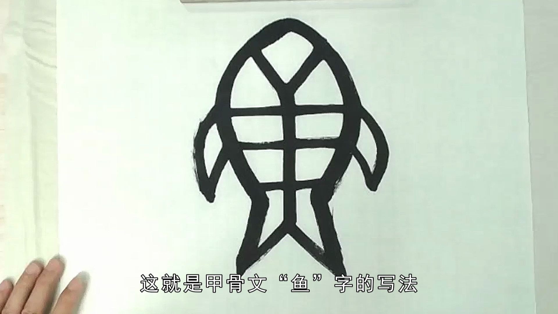 第6天 甲骨文“鱼”字的写法