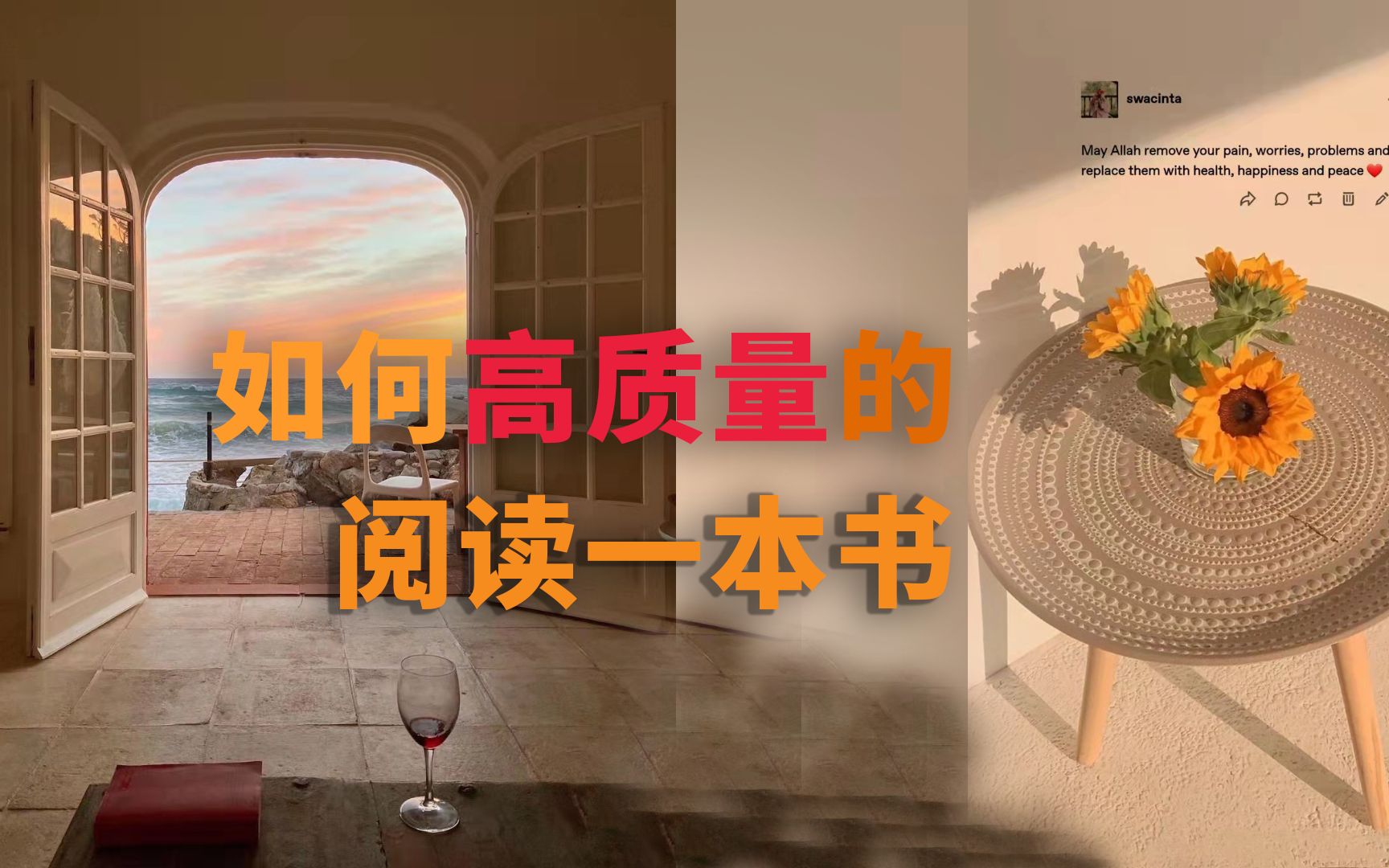 如何高质量的阅读一本书!