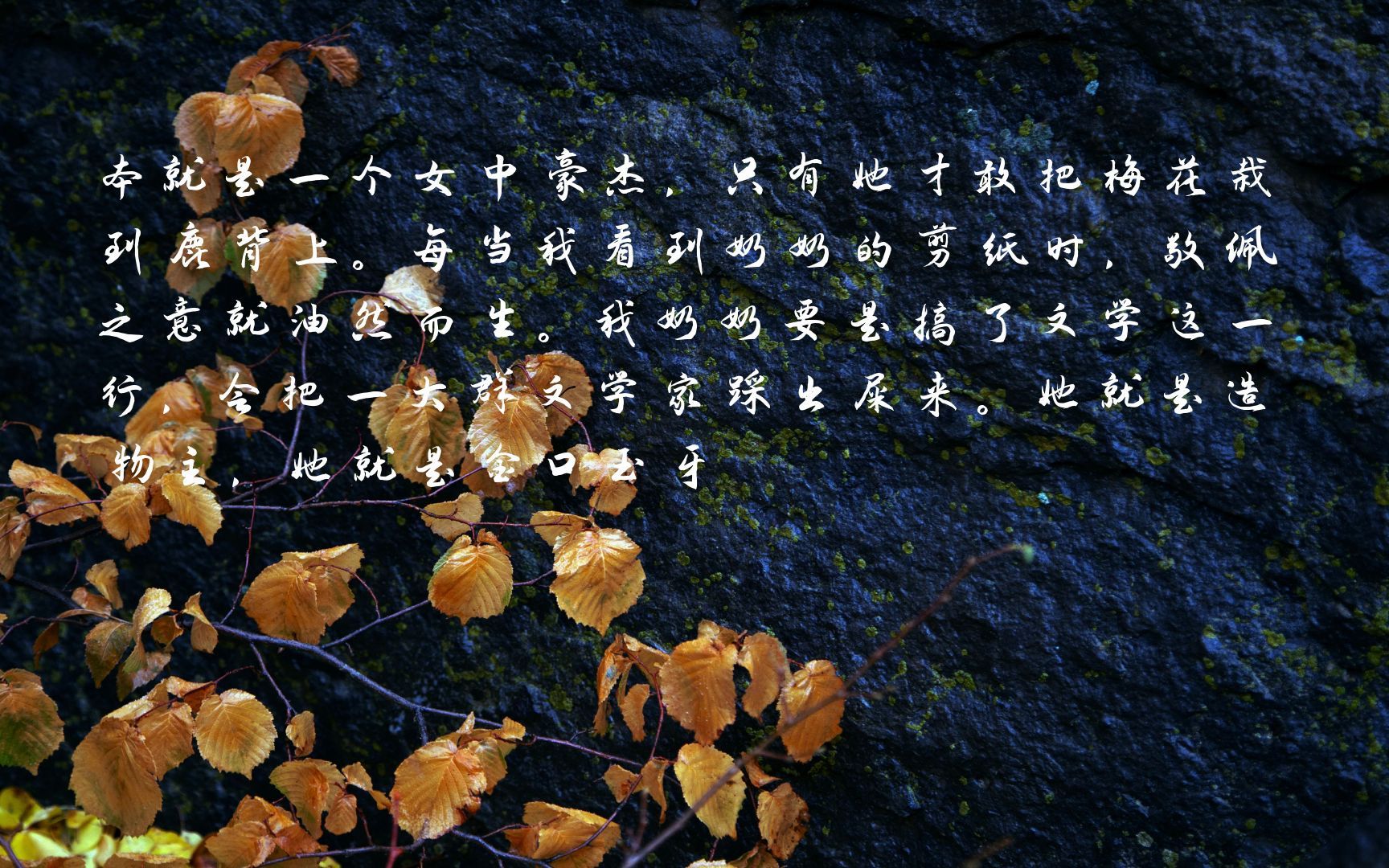 高考作文 记叙文篇之五 写人【2】