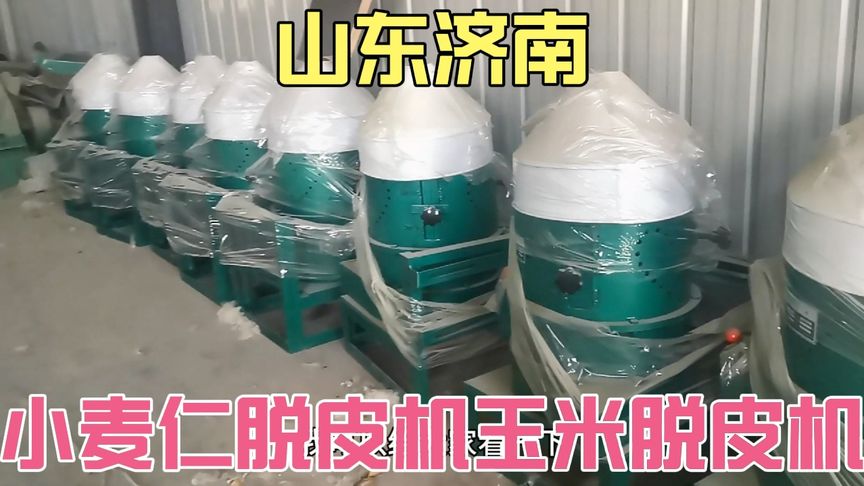 山东济南乡镇磨坊用途买台小麦仁脱皮机玉米脱皮机,实惠多用途!
