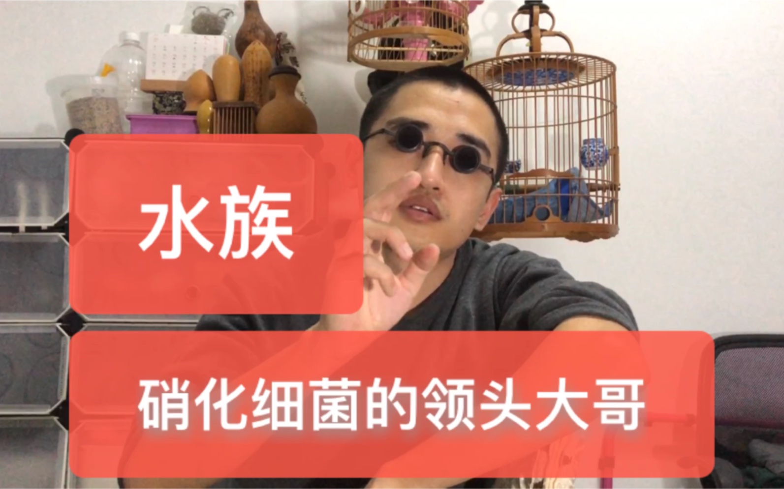 新鱼缸水族箱开缸组建硝化系统,硝化细菌培养的速度太慢怎么办