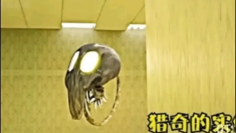 盘点Backrooms后室中里面的猎奇实体
