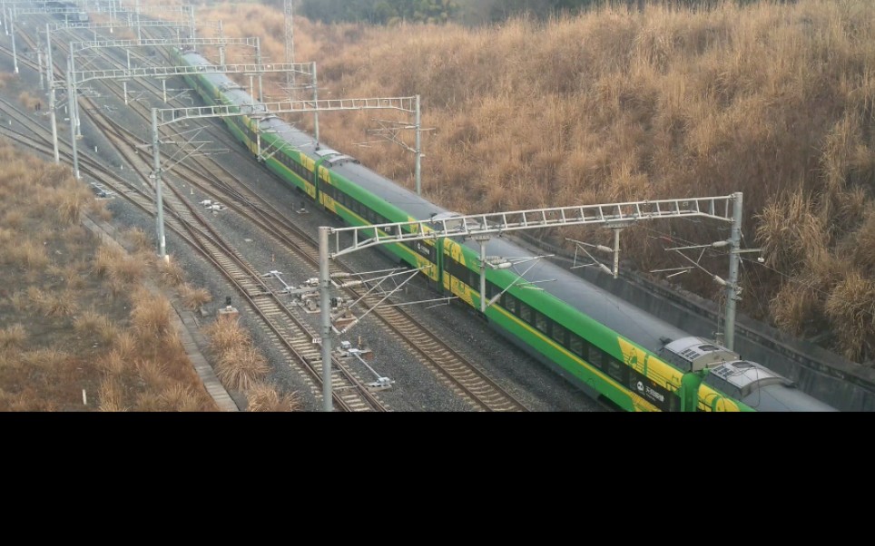成局特色“熊猫桶”C918次列车(阆中―重庆北)发车