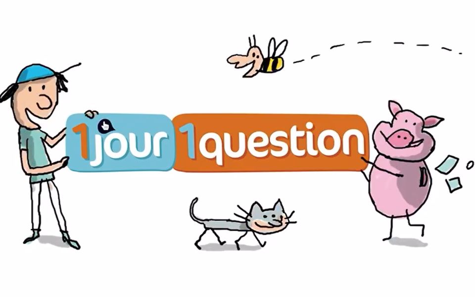 【法语动画|中法字幕】什么是〇垃圾?法国人如何实现〇垃圾?(每日...