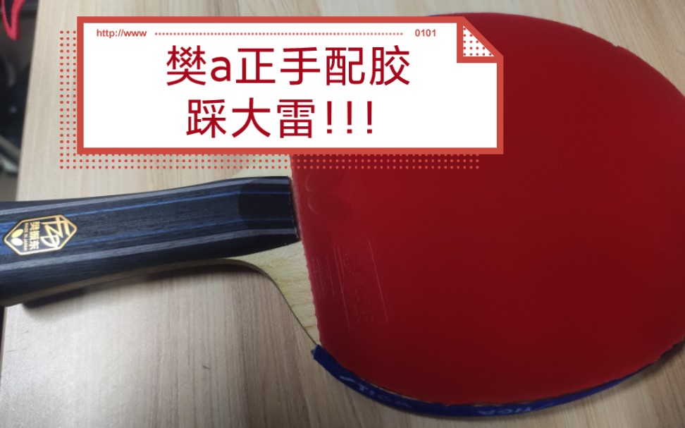 踩雷!不要随便相信马克聊乒乓的推荐!关于我樊振东alc正手k2Pro反手...