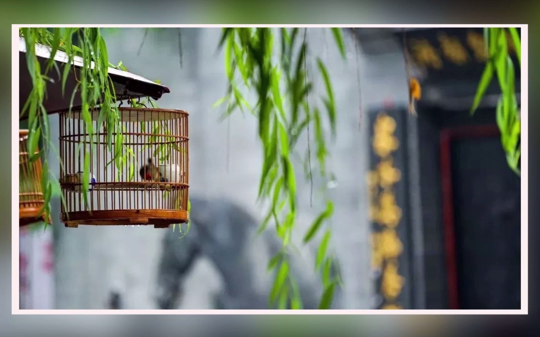 【城市打卡||看济南】解放阁雪景+趵突泉、黑虎泉、金线泉+济南老街...