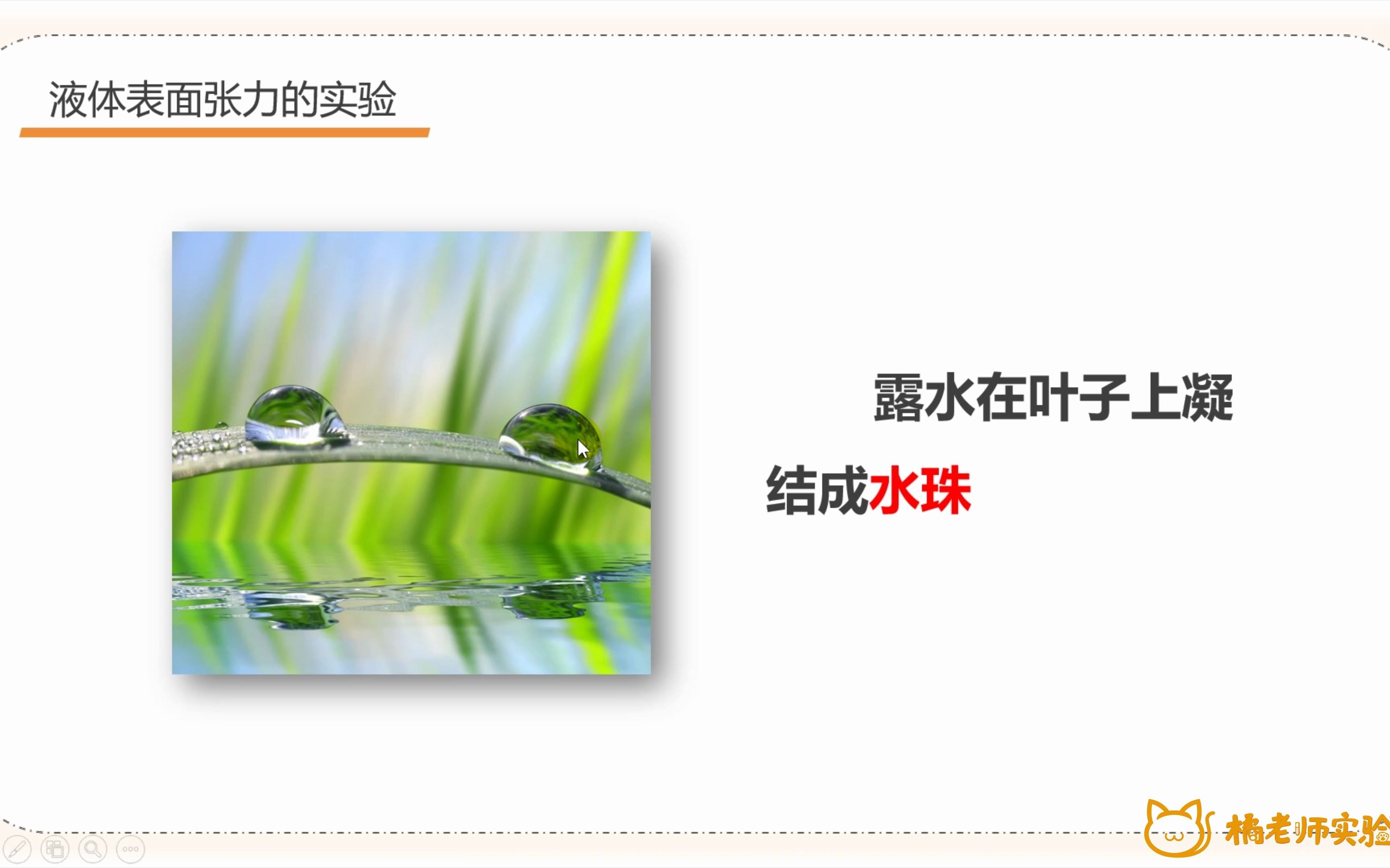 【橘老师实验室】液体表面张力的实验