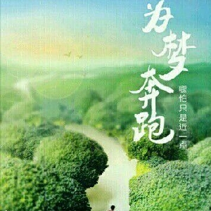 为梦奔跑X 