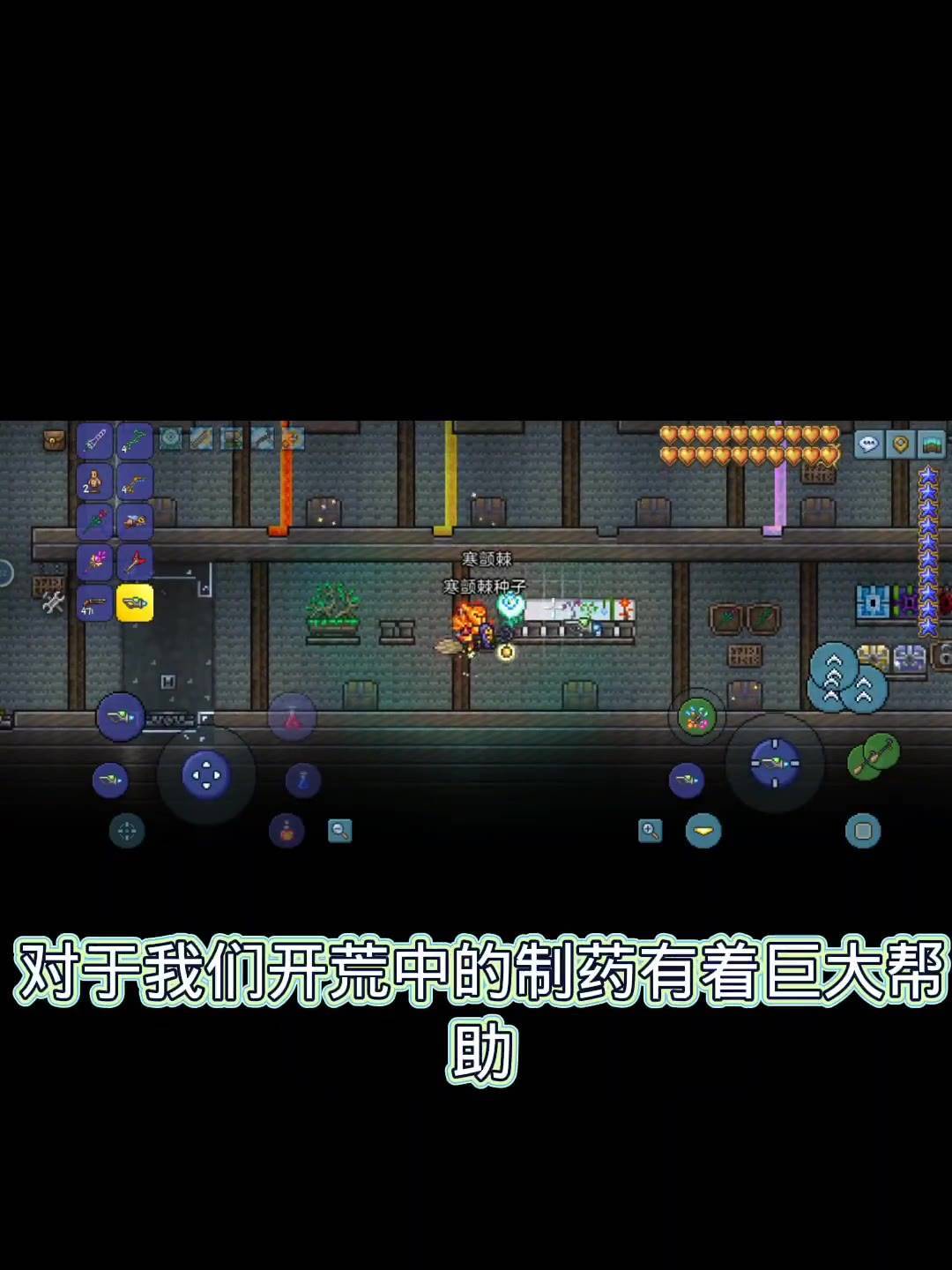 泰拉瑞亚肉前丛林地下的宝贝