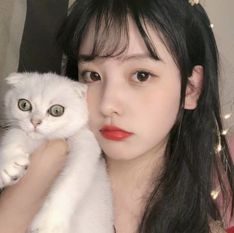 浅浅的好物分享 