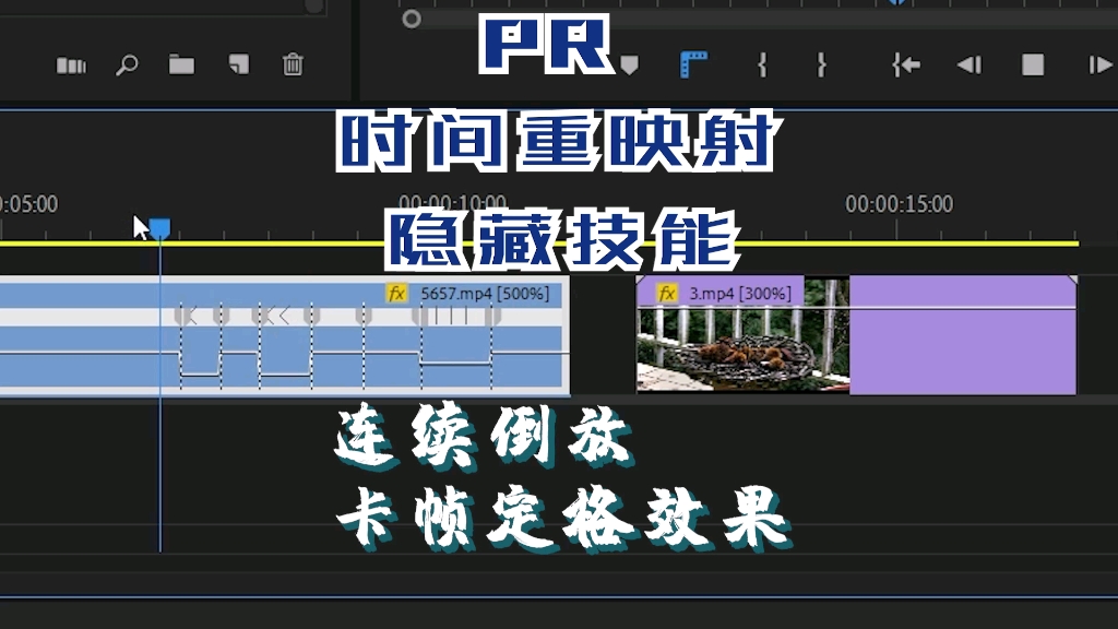 PR时间重映射隐藏技能