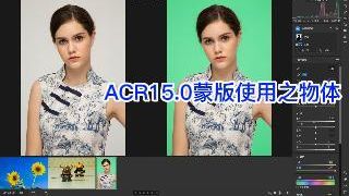ACR15蒙版使用之物体
