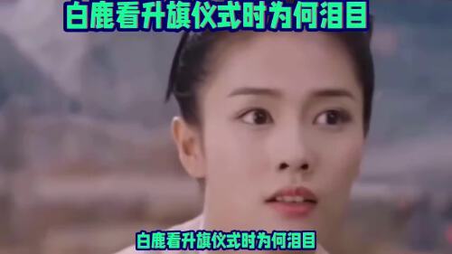 白鹭看升旗仪式时为何泪目