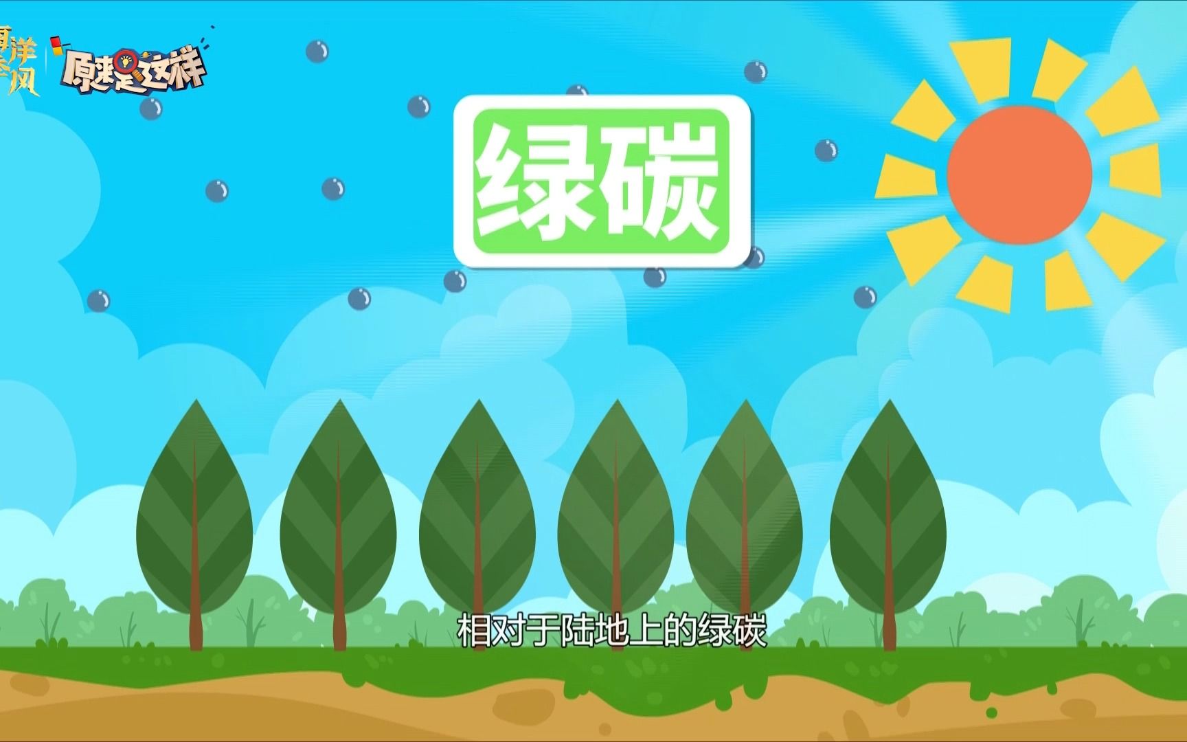 【原来是这样 】达成“双碳”目标 这片海洋森林“魔力”开启