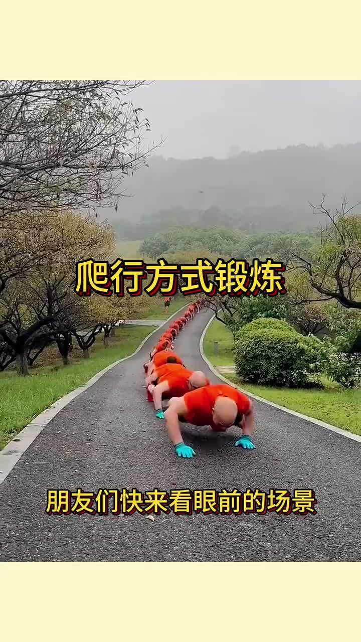 爬行方式锻炼,简直就像一排四脚兽
