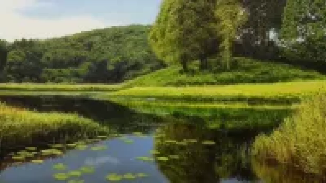 【绘画教程】超美超逼真的青山绿水风景画,看看草与水的画法!