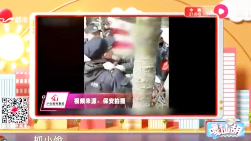 大妈绿化带上晾衣服,物业前来阻止起纠纷,结果大妈把物业给告了