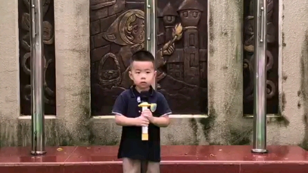 学校安全宣传大使