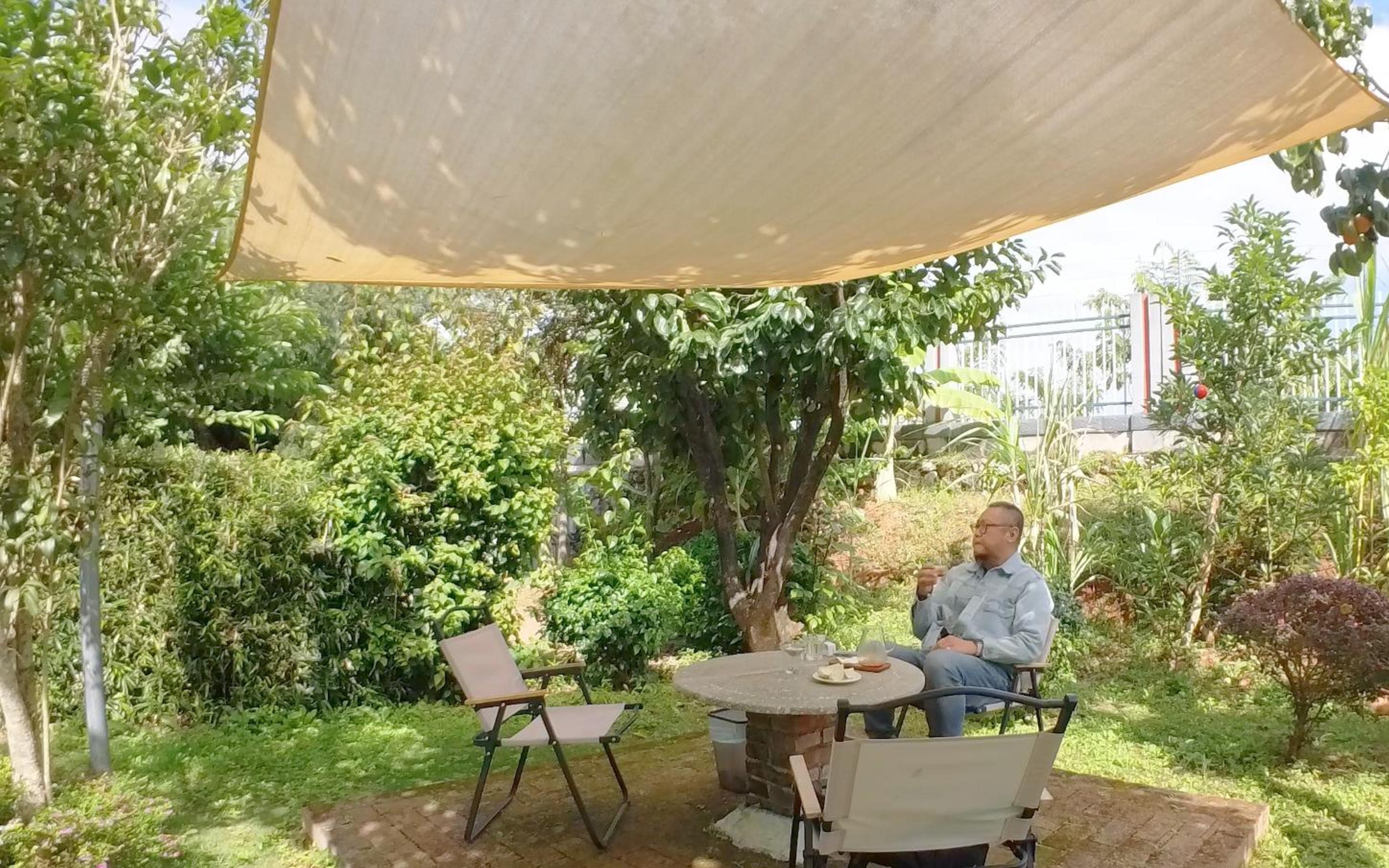 普洱咖啡探店记