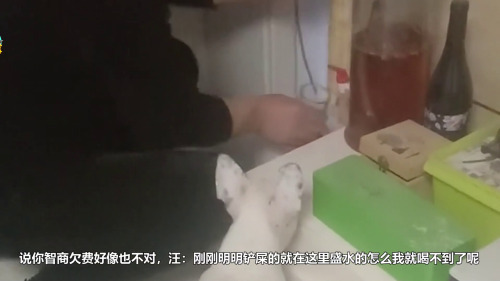 怪不得游戏技术好,原来有狗子指导