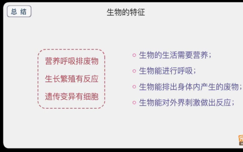 初一上册生物人教版第一课 认识生物(上)