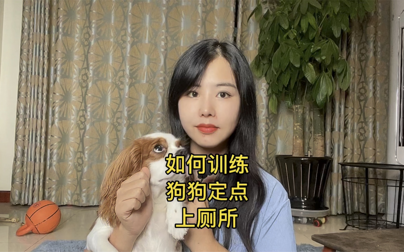 (训犬04)如何训练狗狗定点上厕所?