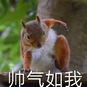 脆脆鲨杀鲨 