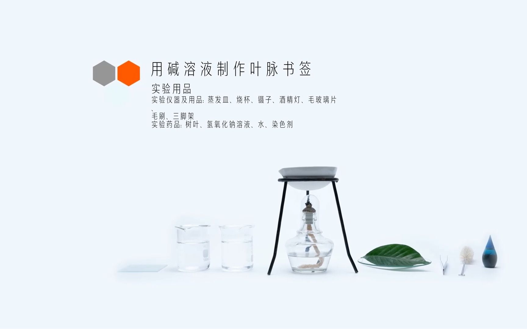 用碱溶液制作叶脉书签