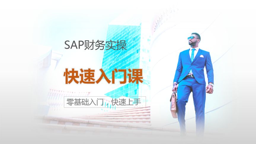 SAP财务实操 之 快速入门