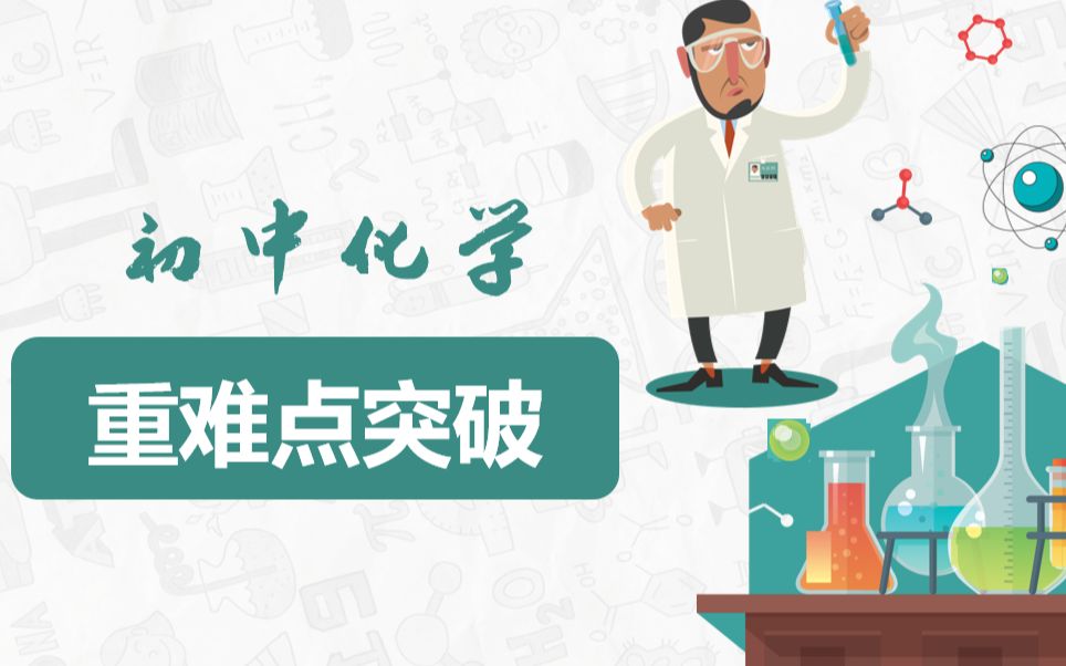 初中化学重难点突破——有关化学式的计算