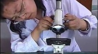 中考生物实验 - 用显微镜观察人血永久涂片