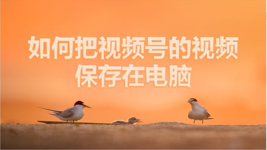如何把视频号的视频保存在电脑