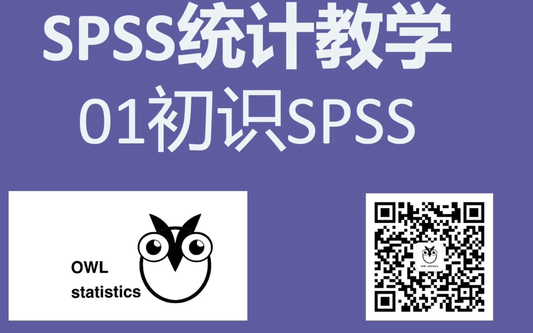 SPSS统计教学|01初识SPSS|快速上手看这一个视频就够啦!保姆级教程