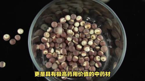 芡实:珍贵的营养与药用之宝