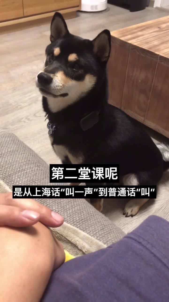 小X学习普通话第二课!掌握上海话后第二种语言真的很快,1天搞定1个词