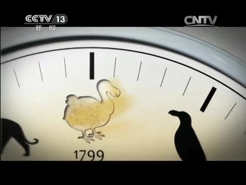 [视频]儿时央视公益广告:保护濒危动物 刻不容缓