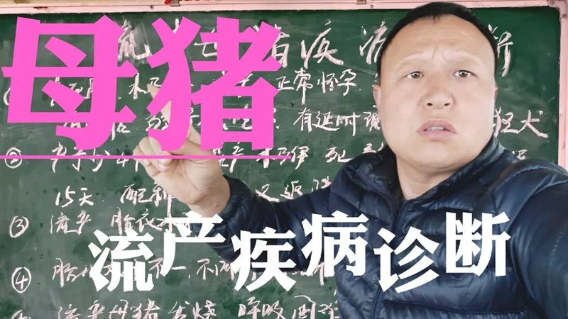 母猪流产,死胎,木乃伊胎是什么原因从胎儿就能辨别母猪什么病