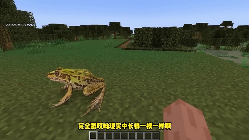 史上最真实MC生物!