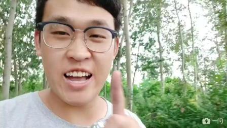 手机君看手机:苹果手机要支持手写笔了,三星怎么办